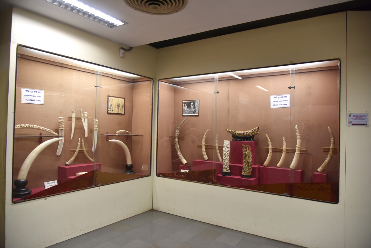 salar jung museum